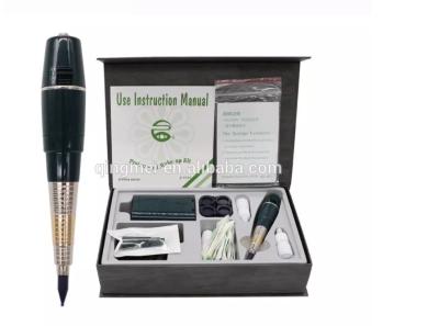 Cina Pistola cosmetica del tatuaggio di trucco permanente rotatorio elettrico con plastica e metallo Shell in vendita