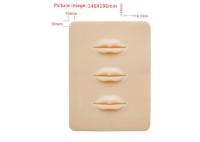 China Durable Permanent Makeup Practice Skin Eye And Lip Replacement Real Looking for sale