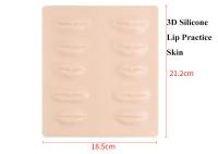 China Durable Permanent Makeup Practice Skin Eye And Lip Replacement Real Looking for sale