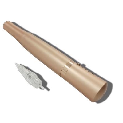 China De draadloze Tatoegering Kit Built In Battery van de Machine240v Permanente Make-up Te koop