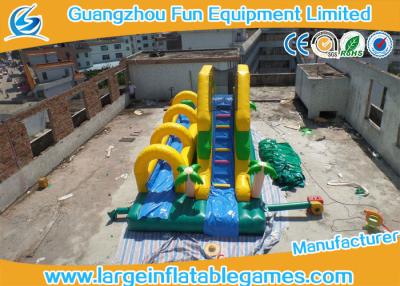China Giant Outdoor Commercial Inflatable Slide , Runway Inflatable Water Slide For Swimming Pool for sale
