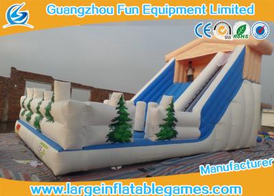 China Funny Jumper Large Wet Inflatable Water Slide Into Pool For Water Amusement / Garden for sale
