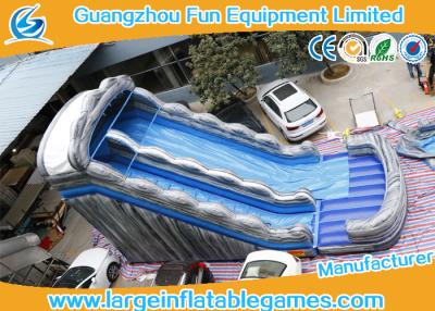 China Iridescence Gray Commercial Inflatable Water Slide / Dry Slide 10*4*6m Dimensions for sale