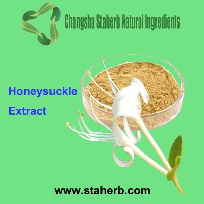 China HoneySuchle Flowers Extract for sale