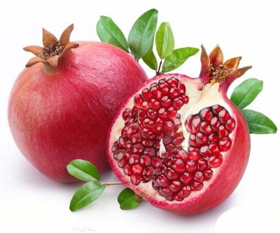 China ellagic acid for sale