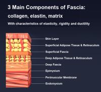 China Multifunctional Fascia Massager with Heating EMS and Red Light Therapy Button Control for sale