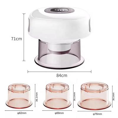Cina Fitdash Smart Bian-stone Gua Sha Scraping Cupping Device con batteria da 1200 mAh in vendita