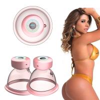 China Physical Therapy Breast Massage Vacuum Therapy Machine Charging Time Approx. 4 hours for sale