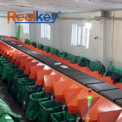 Cross Border E-Commerce Logistics Sorter System High Precision Item Classification