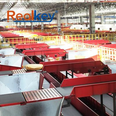 China Efficient Sorting Swivel Wheel Sorter Conveyor Carton Sorter For E-Commerce Warehous for sale