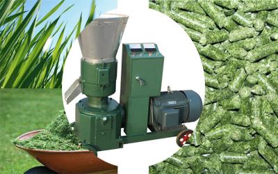 China Electric Flat Die Wood Pellet Mill for Sawdust Agricultural Residues or Energy Crops for sale