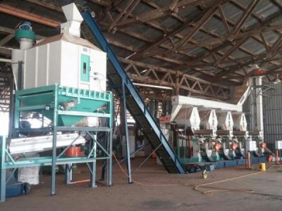 China 4 t/h Rice Husk Pellet Production Line Advantages of Rice Husk Pellets for sale