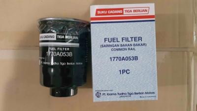 China Auto Engine Fuel Systems Parts Diesel Fuel Filter 1770A053B for sale