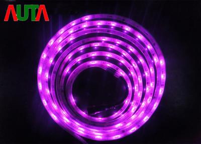 China Flexible RGB Strip Lights Dream Color 5050SMD Led Strip Lighting Outdoor for sale