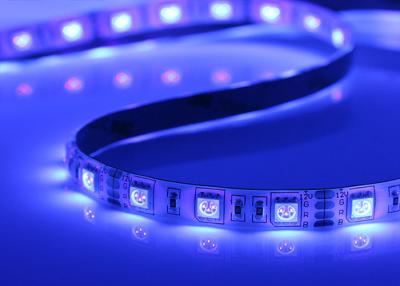 China Safety Flexible LED Strip Light 14.4w 12v For Indoor Decoration for sale