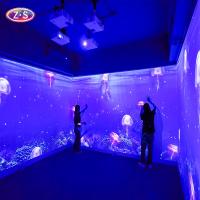 China Multi Scene Immersive Interactive Projection Solution 4K for Art Gallery Digital Display for sale