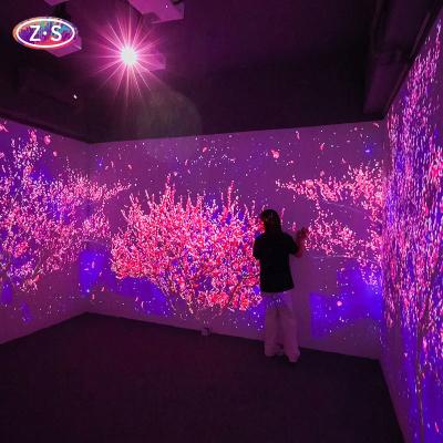 China Multi Zone Immersive Projection Synchronized Effects Whole Room Coverage for sale