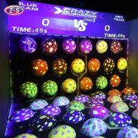 China Commercial Interactive Motion Solution Immersive Bouncing Sphere 1080p DLP for Kids Projects for sale