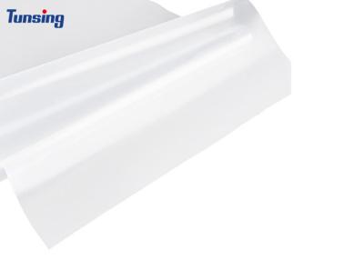 中国 洗濯耐性 コポリアミド 高粘着性 刺身用の熱溶性粘着膜 販売のため