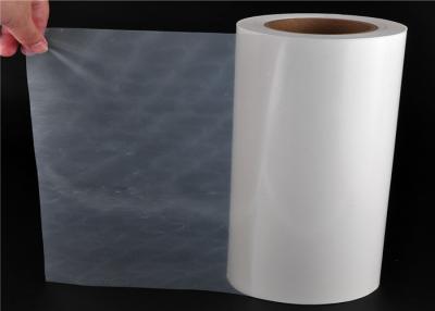 China Mylar Translucent Glue Hot Melt Adhesive Film For Textile Fabric Patchs Pes for sale