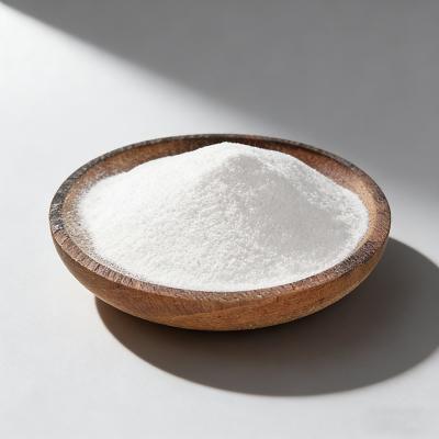 China DS213 Polyamide Powder Hot Melt Adhesive With High Temperature Resistance And Wash Resistance for sale