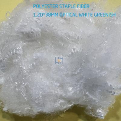 China 100% Polyester Staple Fibre Optical White Greenish For Textile  1.2D X 38mm OW_G for sale