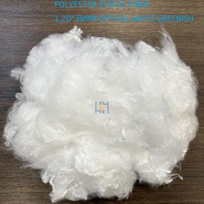 China 100% Polyester Staple Fibre Optical White Greenish For Textile  1.2D X 38mm OW_G for sale