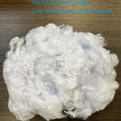 China Virgin Polyester Fiber Optical White Reddish Psf Fiber For Spinning 1.2D X 38mm OW_R for sale