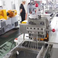 China Reliable Twin Screw Extruder Machine for PET Flakes Processing for sale