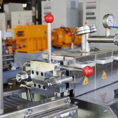 Cina 25 ~ 150 kg/h Biodegradabile Granulatore di plastica Macchina di linea di produzione di imballaggio riempitivi in vendita