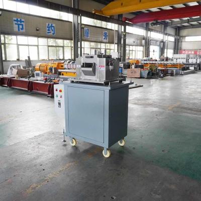 Cina CE 100-500 kg/h Estrusore di plastica in acciaio inossidabile per il taglio di granuli di plastica in vendita