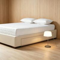 China Premium Bed Equipped with High Capacity Drawers for sale