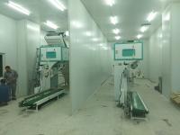 China Plastic Granule Fully Automatic Rice Packing Machine For Rice Mill for sale