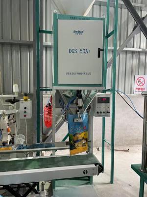 Cina Macchina imballatrice DCS-50A1 del riso quantitativo di plastica dei granelli della soia dei fagioli verdi in vendita