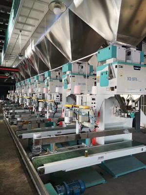 Cina Sollevamento automatico ad alta velocità dell'impacchettatrice 5-50KG del granello di alta precisione in vendita