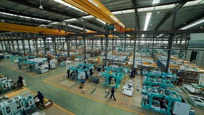 Cina Pp che insaccano la macchina imballatrice 50HZ AC380V 12KW del riso completamente automatico in vendita