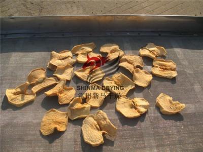 Cina Industriale commerciale del disidratatore dell'alimento di acciaio inossidabile dell'essiccatore 400kg/H del nastro trasportatore in vendita