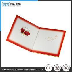 voice recorder for toy