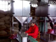 3g-50g Green Tea Weighing Machine / Semi-Automatic Packing Machine
