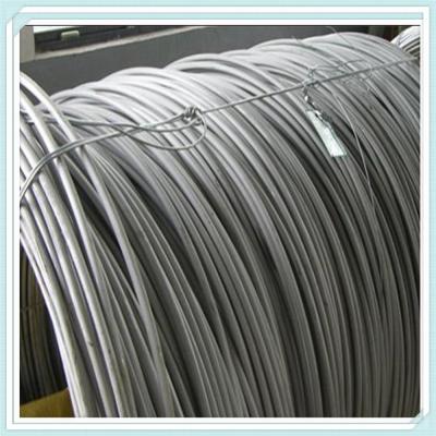 China SAE 1008B 5.5 mm steel ms wire rod coil for sale