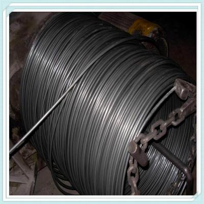 China SAE1008 Steel Wire Rod with dia 5.5mm for sale