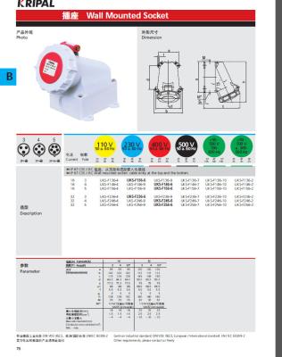 Cina VDE 0623 16A 4 Pin Wall Mounted Socket di BACCANO 400V in vendita