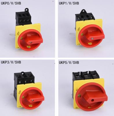 Cina 3 messa a punto facile del sezionatore impermeabile del carico di Palo 100A 440V IP65 in vendita