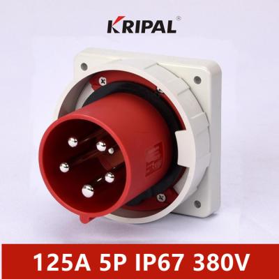 Cina Spina montata pannello impermeabile di IEC del palo IP67 di monofase 125A 5 in vendita