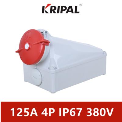 Cina incavo fissato al muro industriale impermeabile 4 Palo 380V di 125A IP67 in vendita