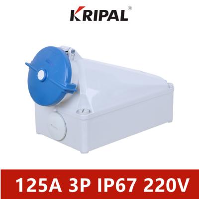 Cina incavo fissato al muro industriale impermeabile 4 Palo 380V di 125A IP67 in vendita