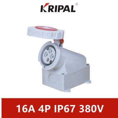 Cina Norma fissata al muro industriale di IEC dell'incavo di IP67 16A 380V 4 Palo in vendita