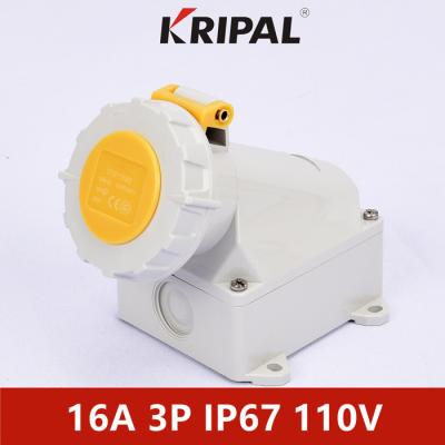 Cina Presa di corrente industriale del montaggio di superficie di IEC di IP67 16A 32A 3 Palo in vendita
