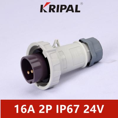 Китай Мужчина низшего напряжения одиночной фазы IP67 24V 16A промышленный затыкает белое продается