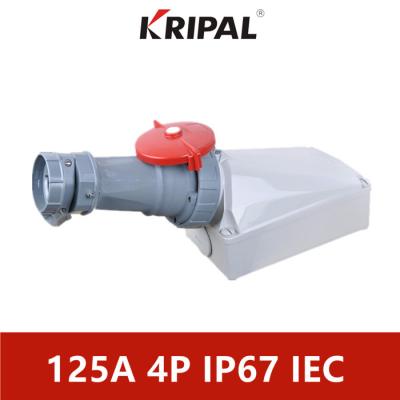 China zócalo montado en la pared industrial de 125A 380V IP67 con estándar del IEC del enchufe en venta